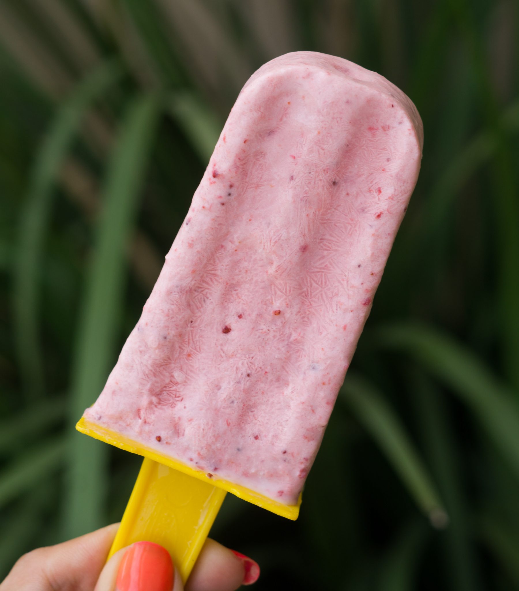 Paletas rellenas – Mi Corazón de Arroz